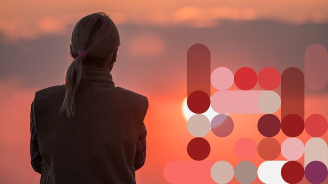 About Netel Group | Netel Group